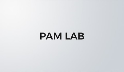 PAM LAB | Pamline